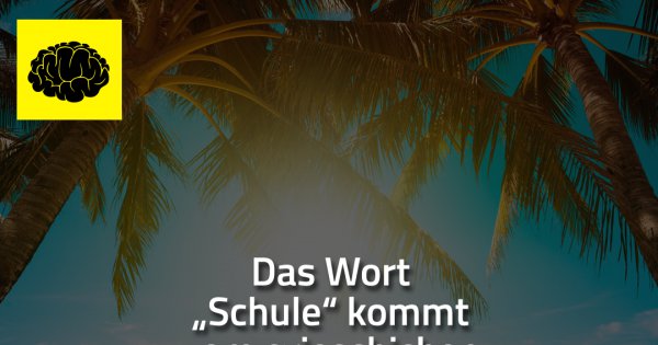 Das Wort „Schule“ kommt vom ... - Made My Day